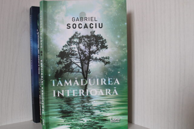Tămăduirea Interioară- Gabriel Socaciu-rezumat (With Love 1) - Viața în ...